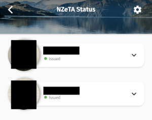 【2025年最新】NZeTAの申請方法を日本語で解説